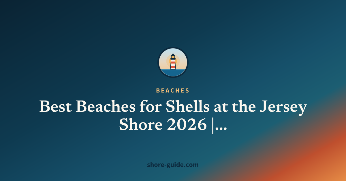 Best Beaches for Shells at the Jersey Shore 2026